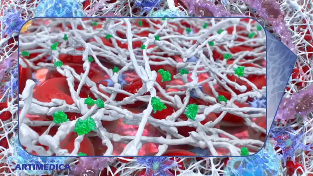 Todo lo que necesitas saber sobre el sellante de fibrina: usos ...