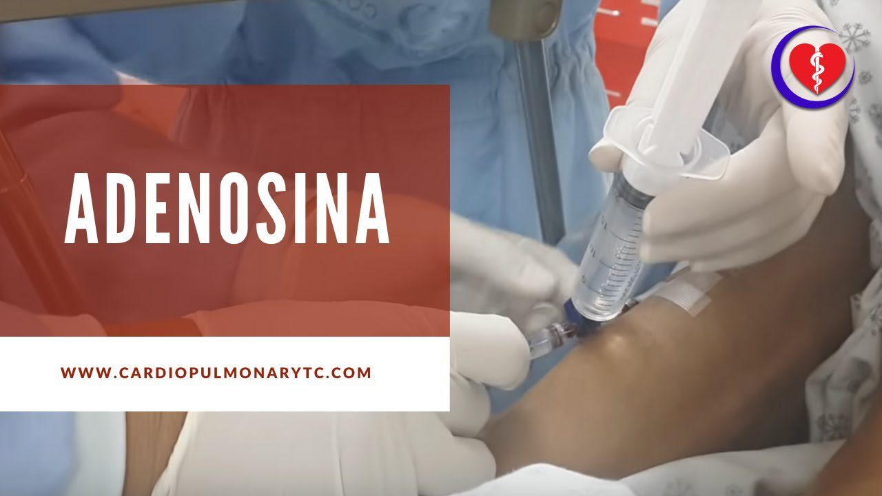 Beneficios de la Adenosina: Todo lo que necesitas saber sobre este ...