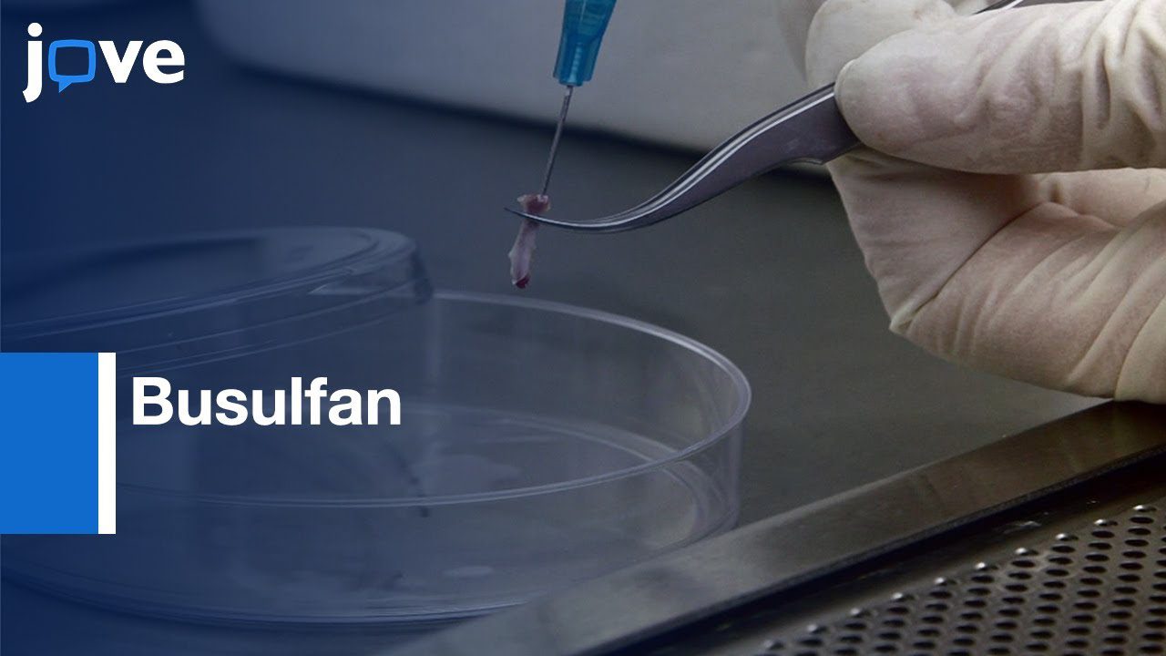 Guía completa sobre Busulfan: usos, efectos secundarios y ...