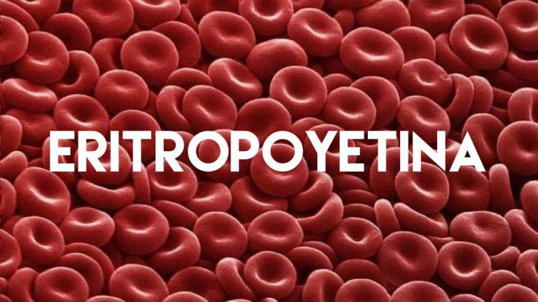 Todo lo que necesitas saber sobre la eritropoyetina: funciones, usos y ...