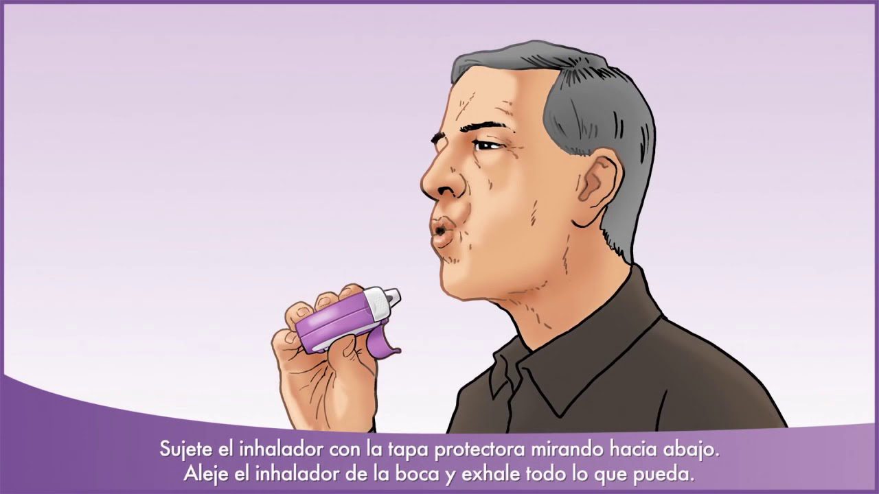 Todo lo que necesitas saber sobre Formoterol y Fluticasona: Usos ...